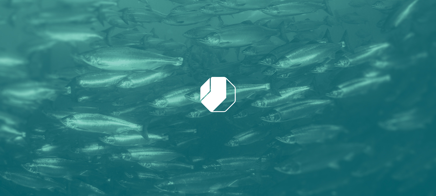 Rapport for 2024 - Nofitech