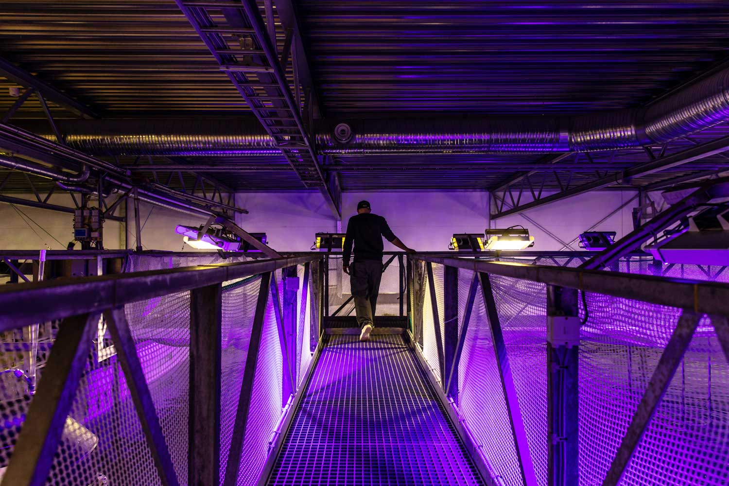 ModulRas Grow-out - Nofitech